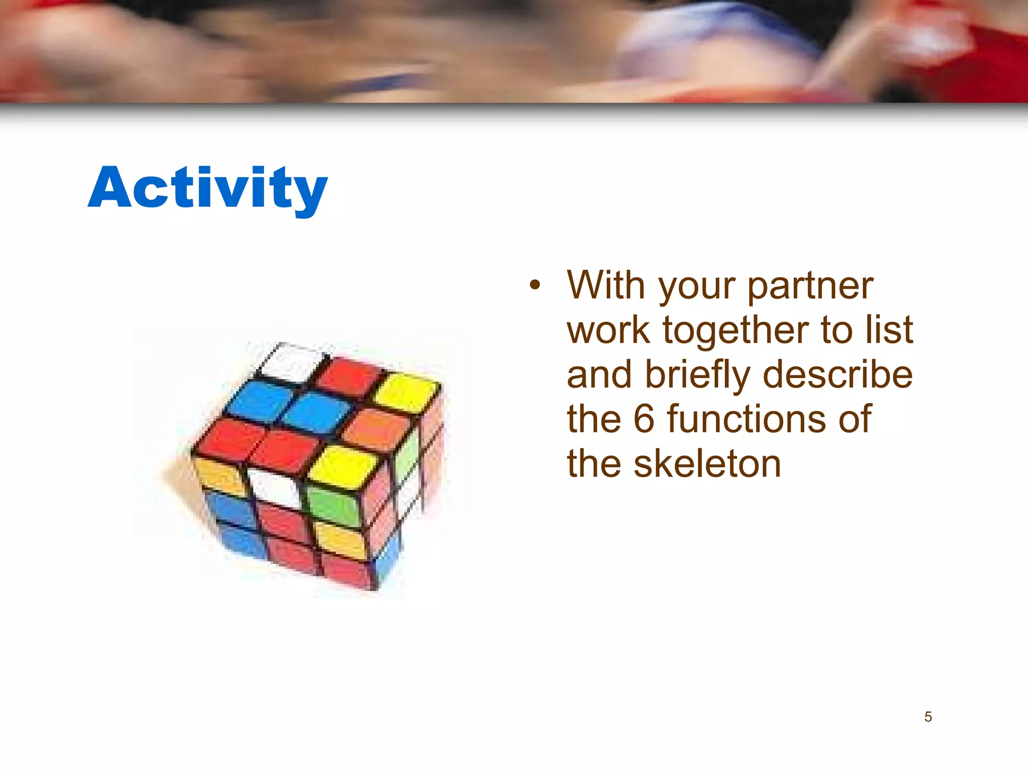 Principles of a+p 1112 session 2 - skeletal system (functions of skeletal system and bone ...