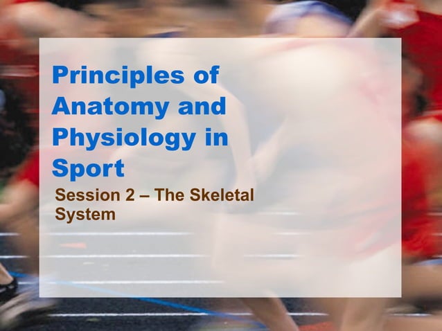 Principles of a+p 1112 session 2 - skeletal system (functions of skeletal system and bone ...