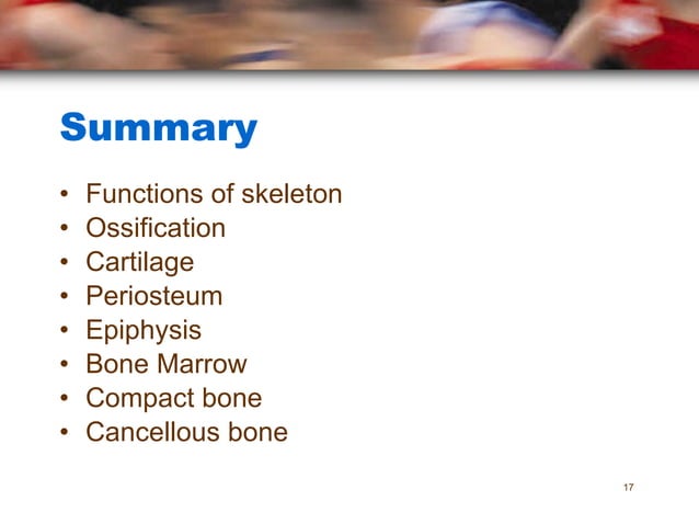 Principles of a+p 1112 session 2 - skeletal system (functions of skeletal system and bone ...