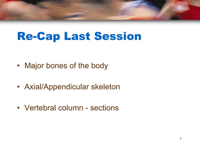 Principles of a+p 1112 session 2 - skeletal system (functions of skeletal system and bone ...