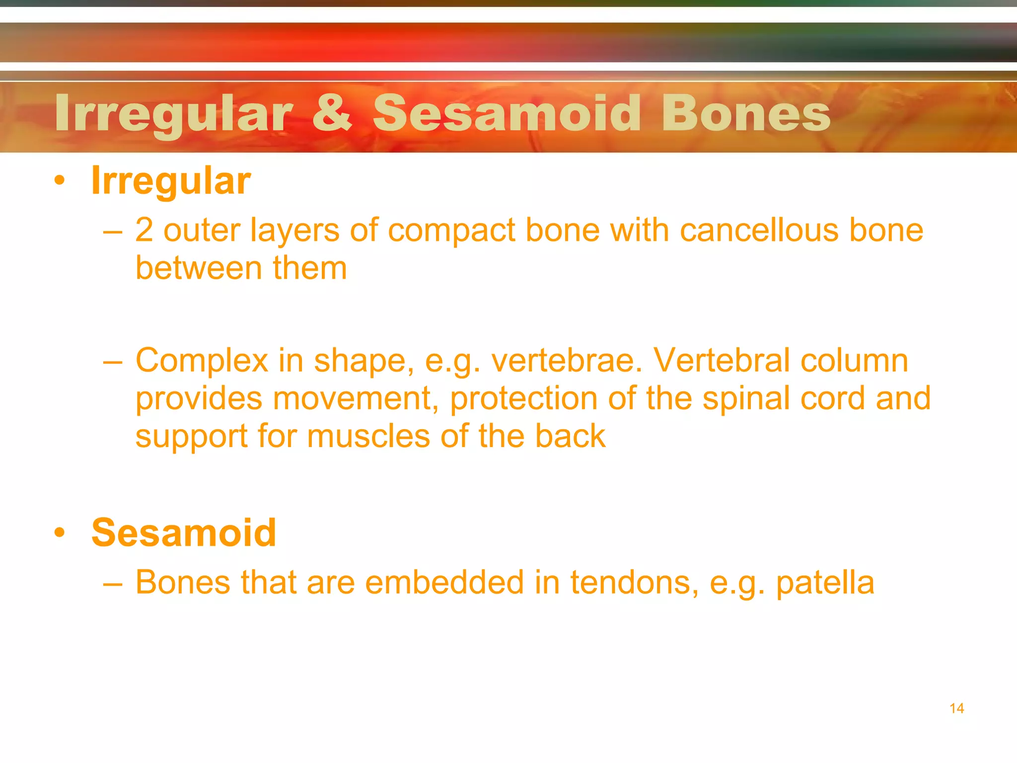 Principles of a+p 1112 session 3 function and classification of bones | PPT