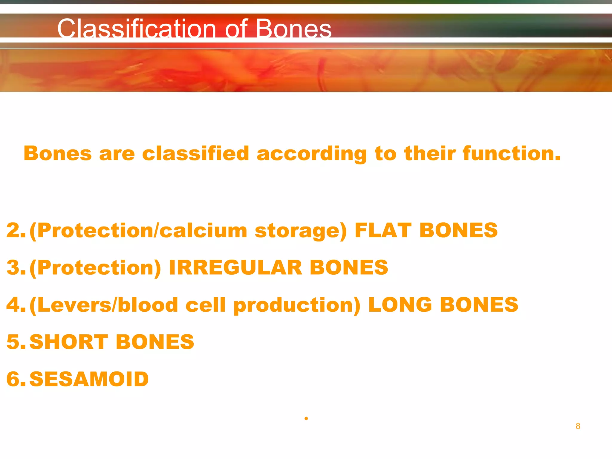 Principles of a+p 1112 session 3 function and classification of bones | PPT