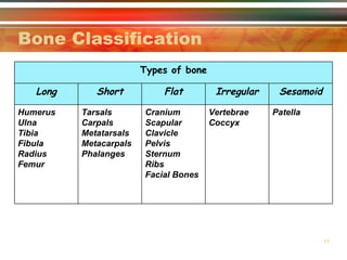 Principles of a+p 1112 session 3 function and classification of bones | PPT