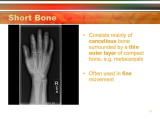 Principles of a+p 1112 session 3 function and classification of bones | PPT