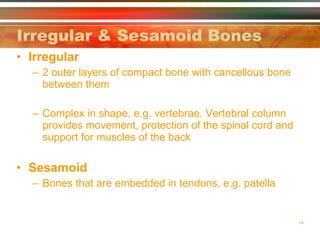 Principles of a+p 1112 session 3 function and classification of bones | PPT