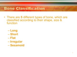 Principles of a+p 1112 session 3 function and classification of bones | PPT