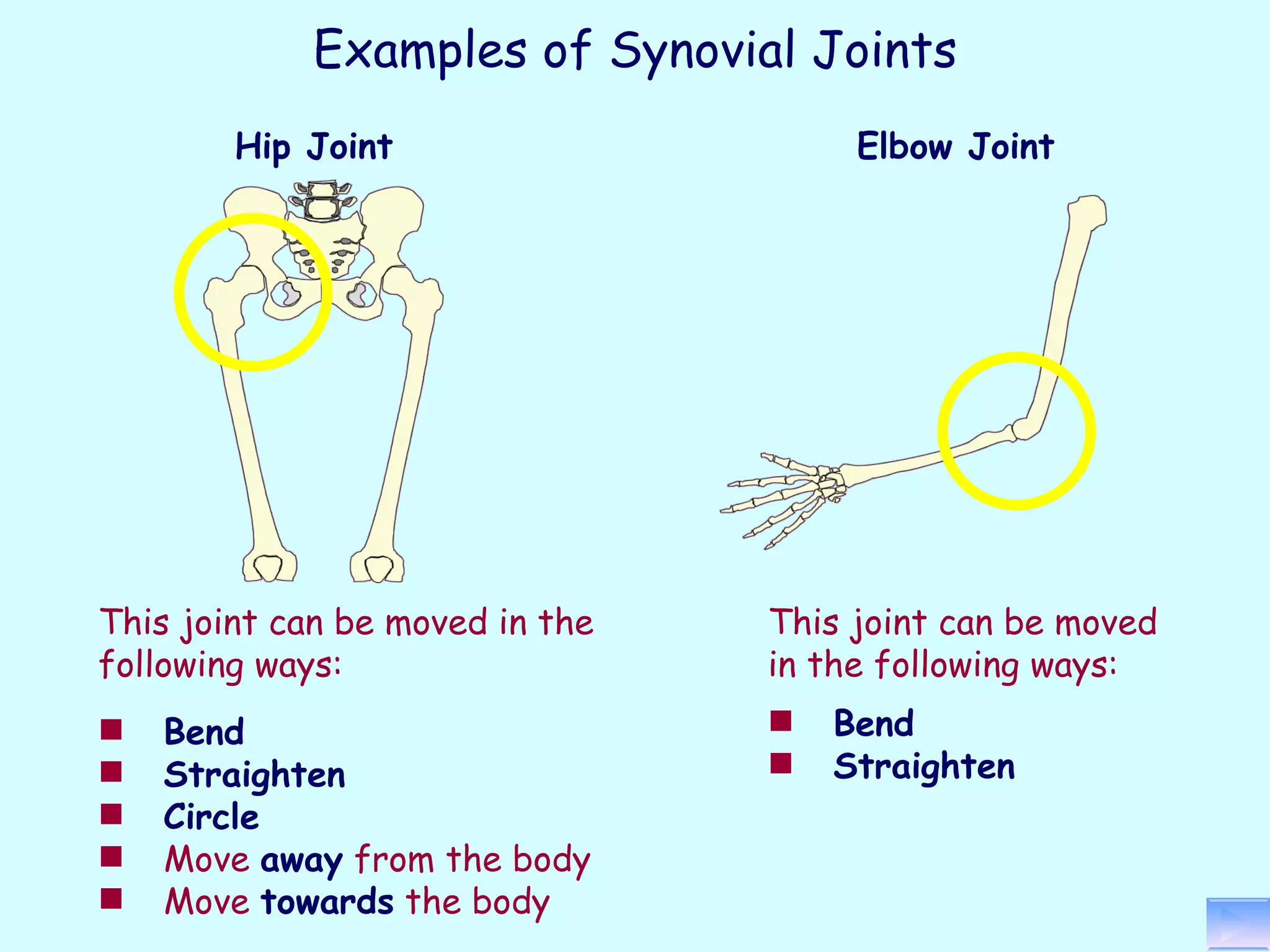 Principles of a+p 1112 session 5 - joints (structure) | PPT