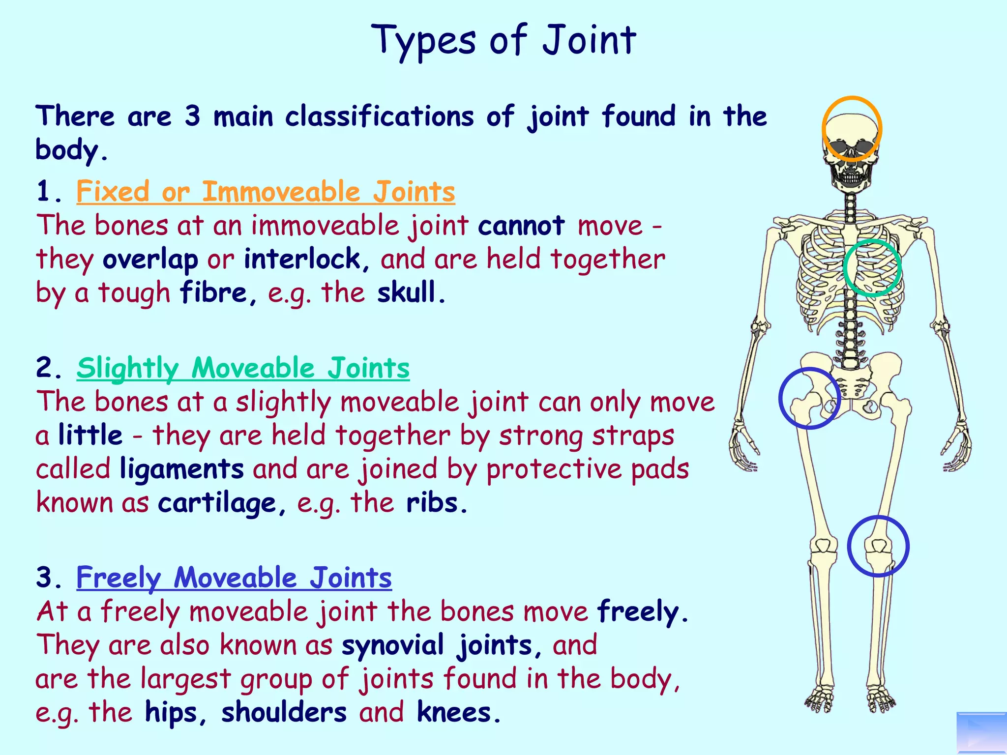 Principles of a+p 1112 session 5 - joints (structure) | PPT