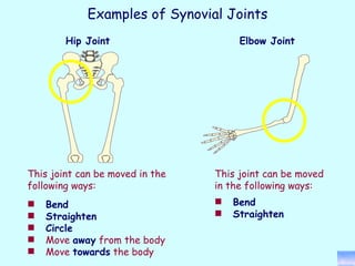 Principles of a+p 1112 session 5 - joints (structure) | PPT