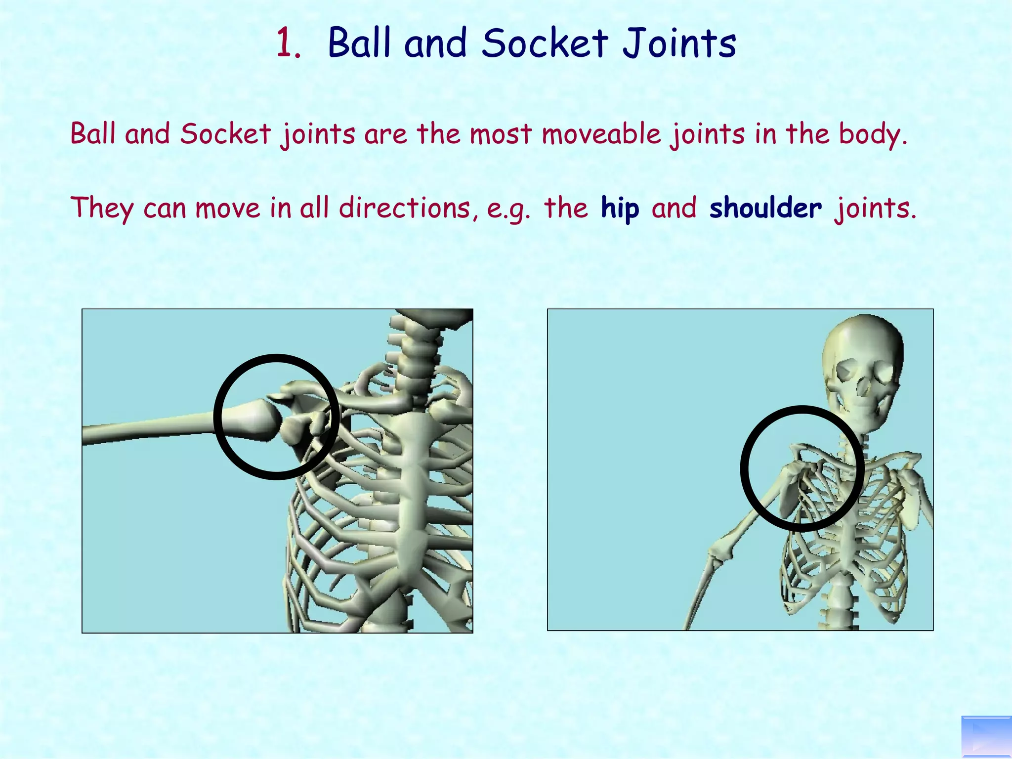 Principles of a+p 1112 session 6 - joints (function) | PPT