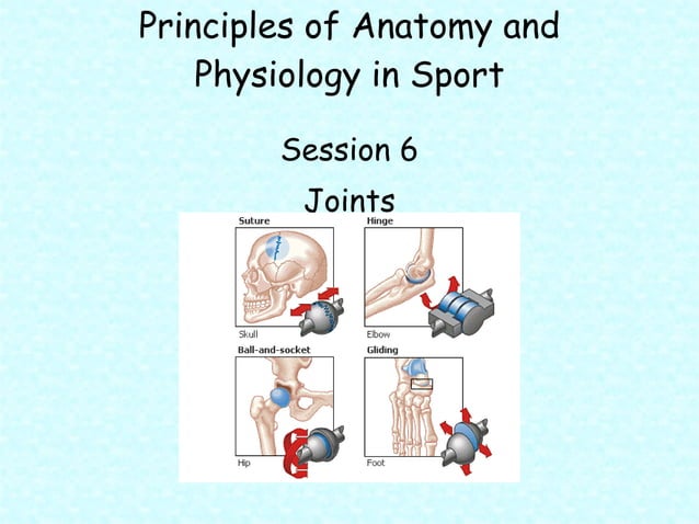 Principles of a+p 1112 session 6 - joints (function) | PPT