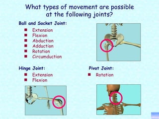 Principles of a+p 1112 session 6 - joints (function) | PPT