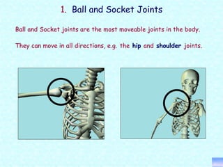 Principles of a+p 1112 session 6 - joints (function) | PPT