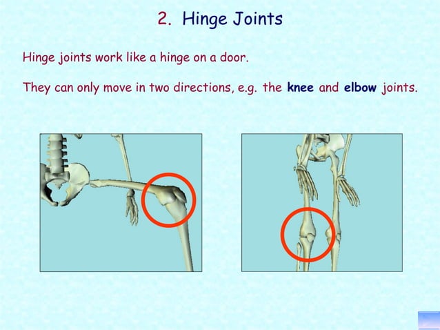 Principles of a+p 1112 session 6 - joints (function) | PPT