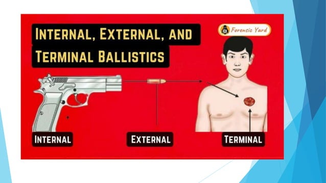 Principles Of Ballistics And Projectile Motion Pptx First Aid Injuries