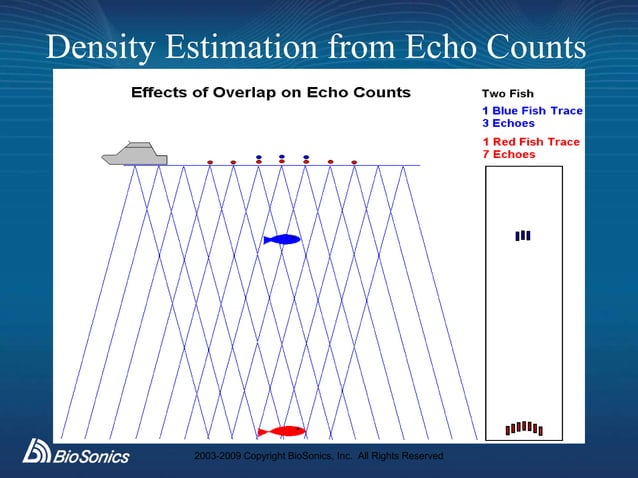 Principles Of Basic Acoustics 103 | PPTX