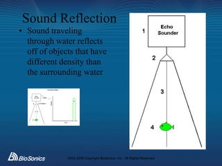 Fisheries Acoustics 101 - Principles | PPTX