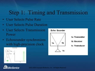 Fisheries Acoustics 101 - Principles | PPTX
