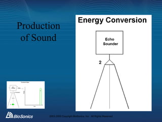 Fisheries Acoustics 101 - Principles | PPTX