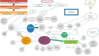 Principles of biochemistry | PPT