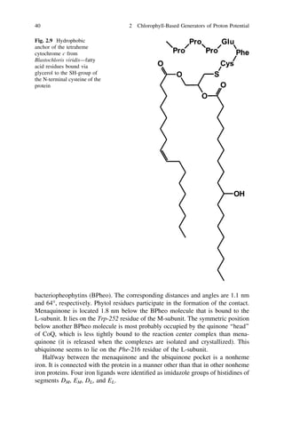 Principles of bioenergetics | PDF