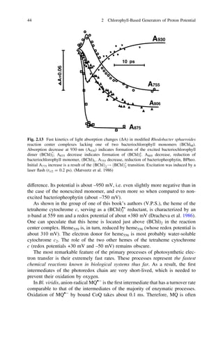 Principles of bioenergetics | PDF
