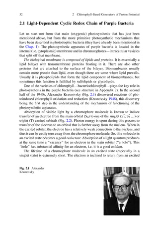 Principles of bioenergetics | PDF