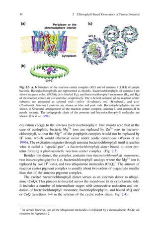Principles of bioenergetics | PDF
