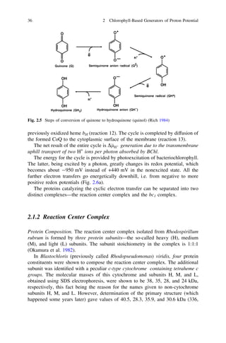 Principles of bioenergetics | PDF