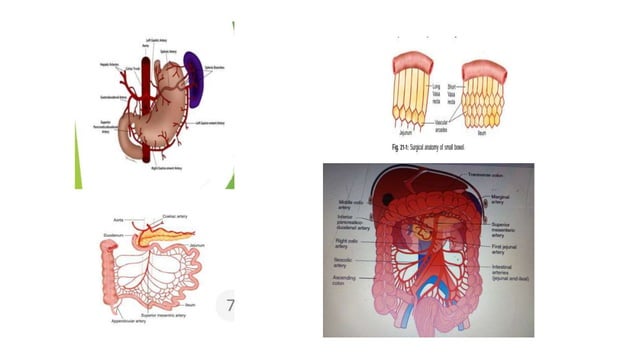 Principles of Bowel Anastomosis (s&l)-1.pptx
