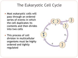 Principles of cancer chemotherapy | PPTX