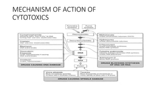 Principles of cancer chemotherapy.pptx