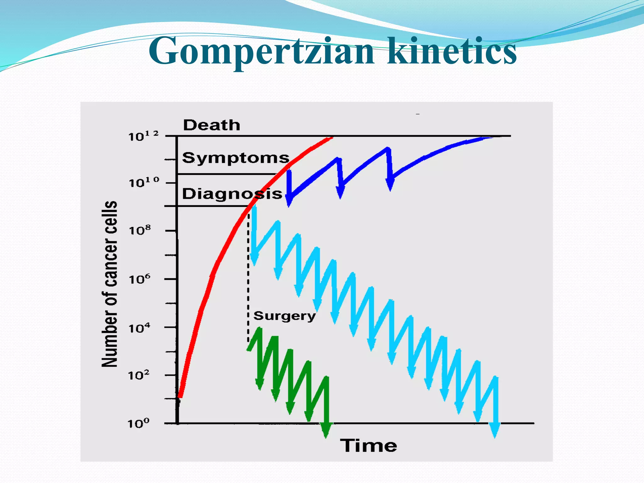 Principles of cancer chemotherapy (2) (2) | PPTX
