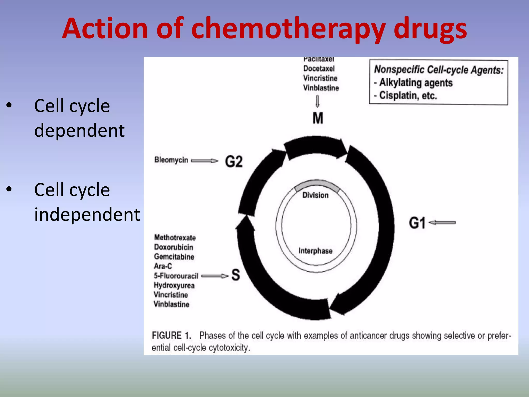 Principles of cancer chemotherapy and its clinical evaluation | PPTX