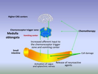Principles of cancer chemotherapy and its clinical evaluation | PPTX