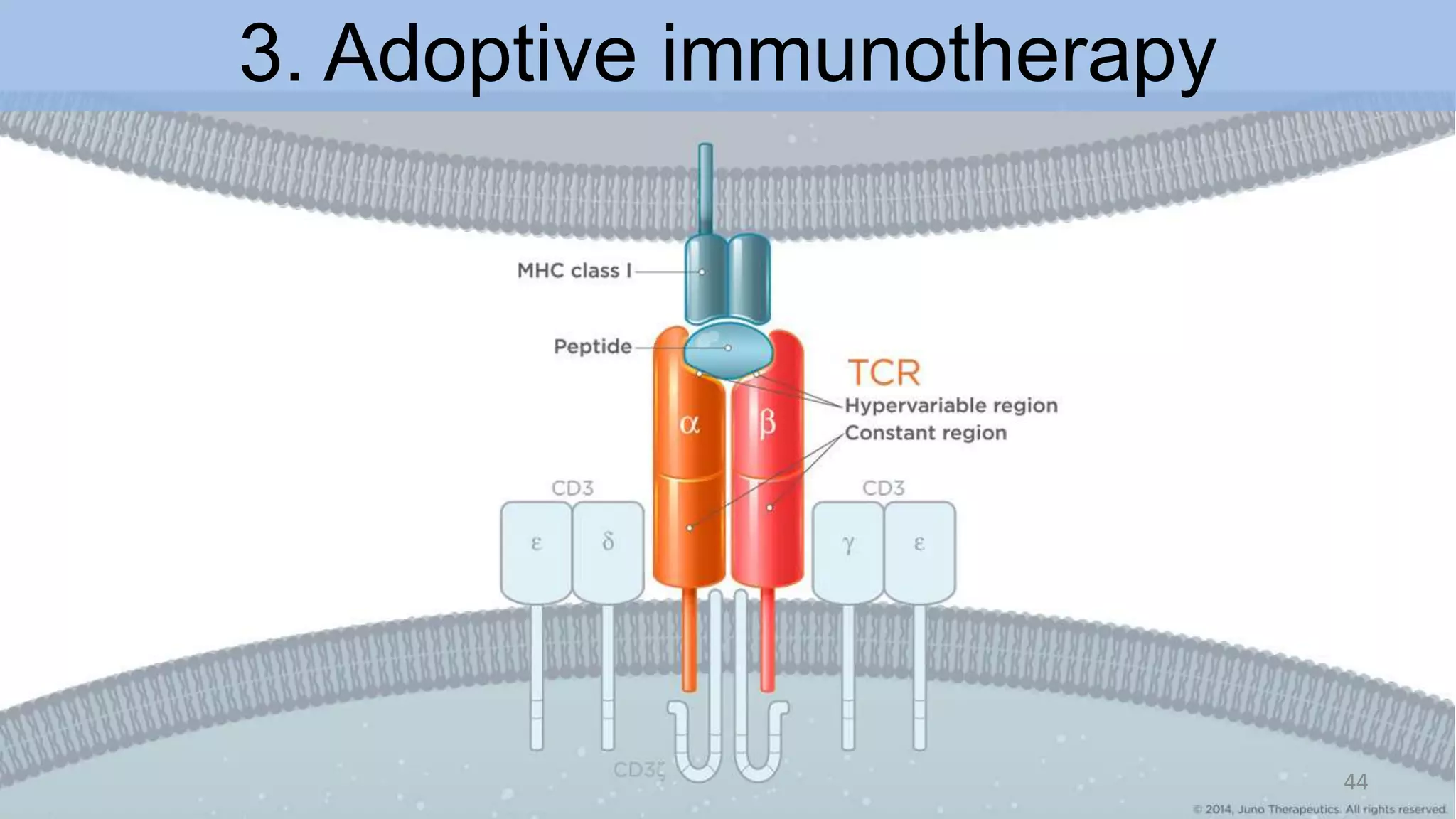 Principles of cancer immunotherapy | PPTX