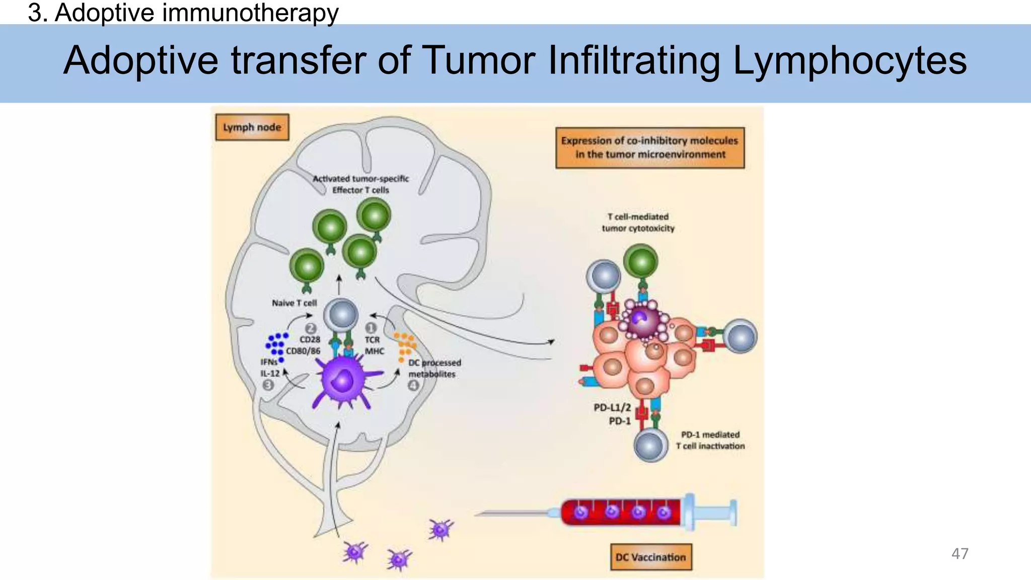 Principles of cancer immunotherapy | PPTX