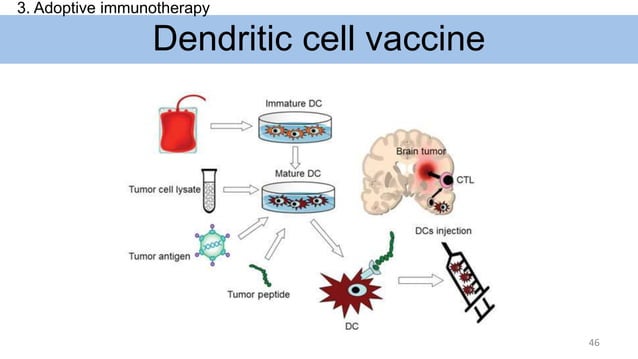Principles of cancer immunotherapy | PPTX | Cancer | Diseases and Conditions