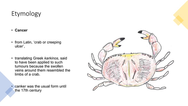 Principles of Cancer Surgery | PPTX | Cancer | Diseases and Conditions