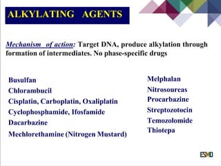 Principles of cancer therapy.pptxbfbdndbdbd | PPT