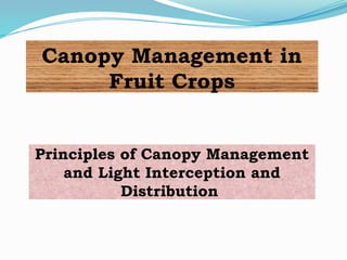 Principles of Canopy Management .pptx in subject canopy management of ...