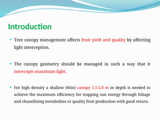 Principles of Canopy Management .pptx in subject canopy management of ...