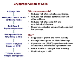 Principles of cell culture | PPT