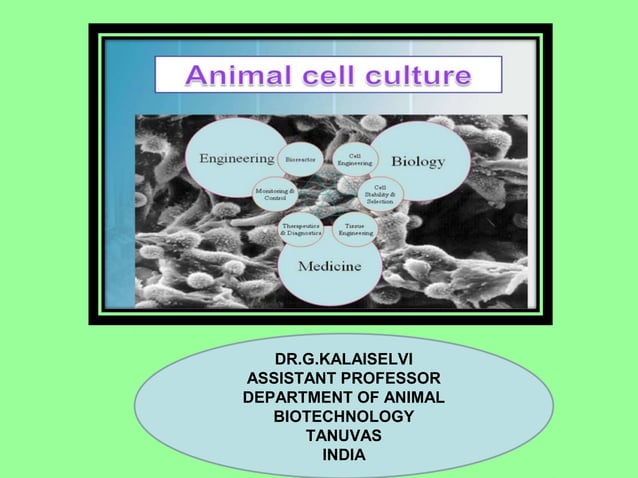 Introduction to cell culture techniques | PPT