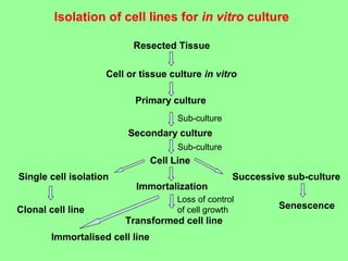 Introduction to cell culture techniques | PPT