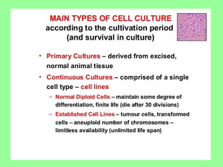 Introduction to cell culture techniques | PPT