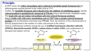 Principles of cell viability assays by surendra.pptx | Chemistry | Science