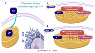 Principles of cell viability assays by surendra.pptx