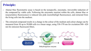 Principles of cell viability assays by surendra.pptx