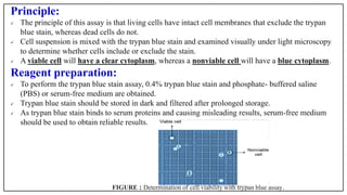 Principles of cell viability assays by surendra.pptx